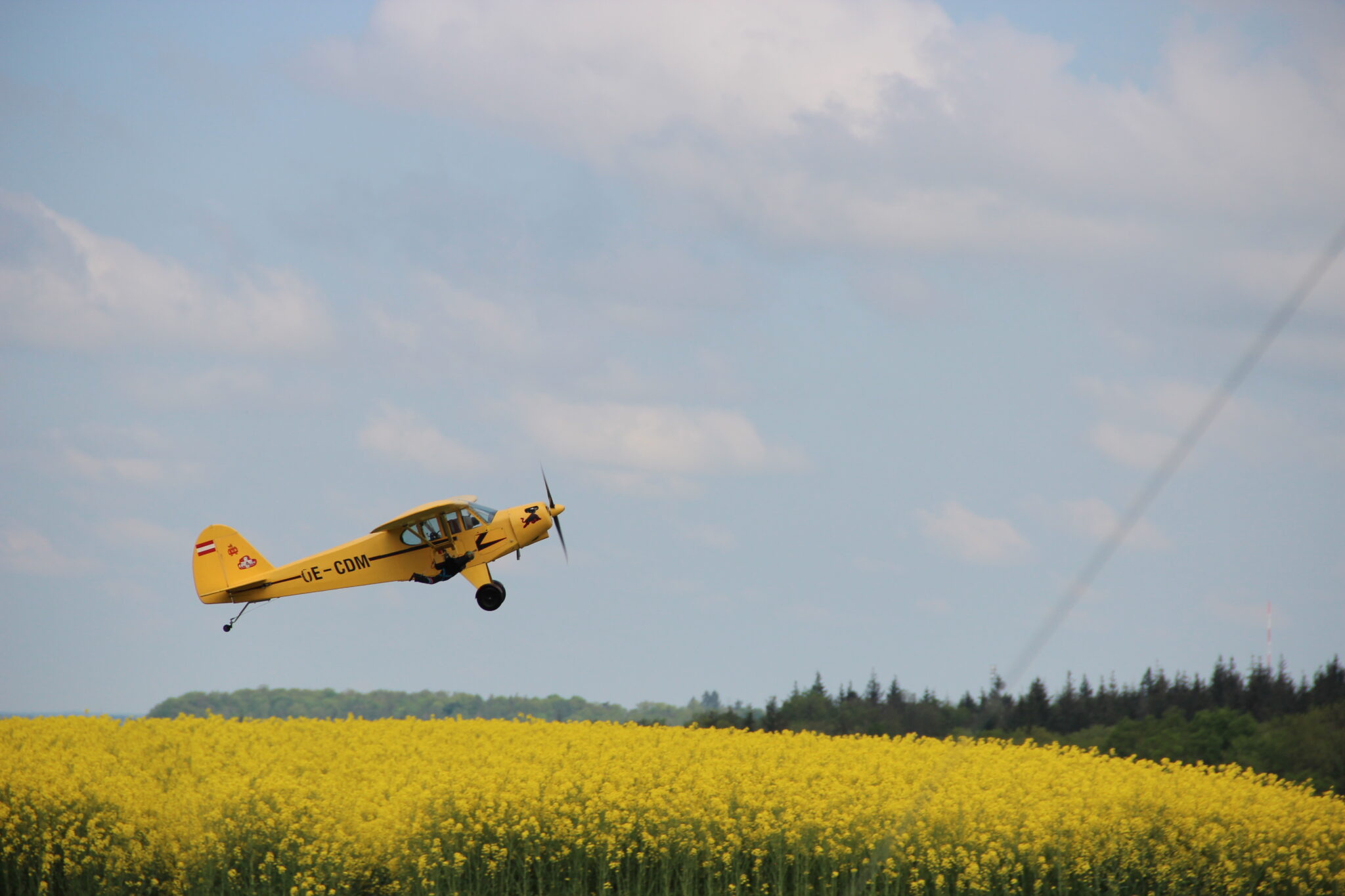Taubertal-Cup in Apfelbach | Deutscher Modellflieger Verband e.V.