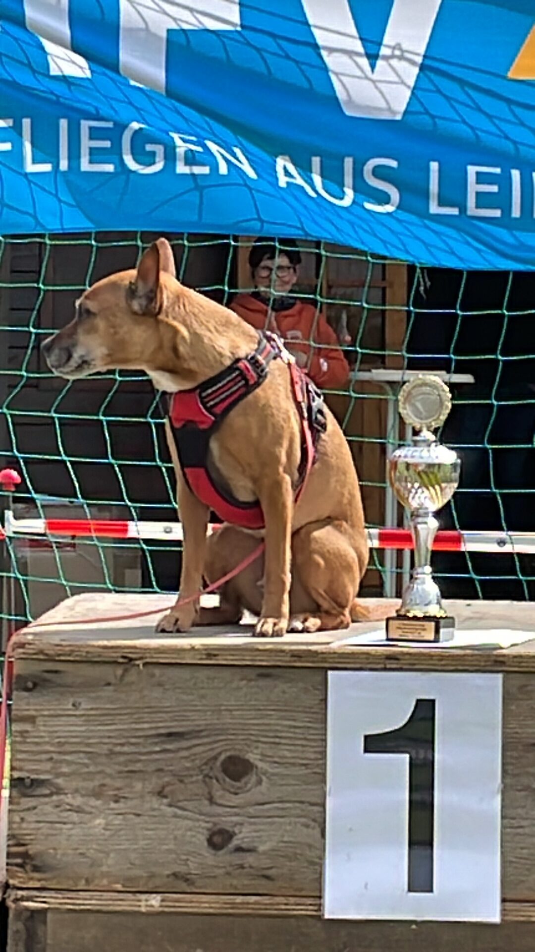 Taubertal-Cup in Apfelbach | Deutscher Modellflieger Verband e.V.